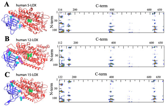 Conformational Dynamics of Lipoxygenases and Their Interaction with ...