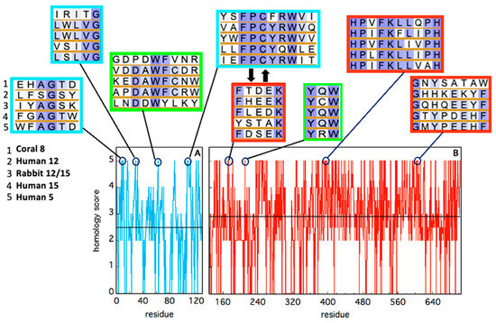 Conformational Dynamics of Lipoxygenases and Their Interaction with ...
