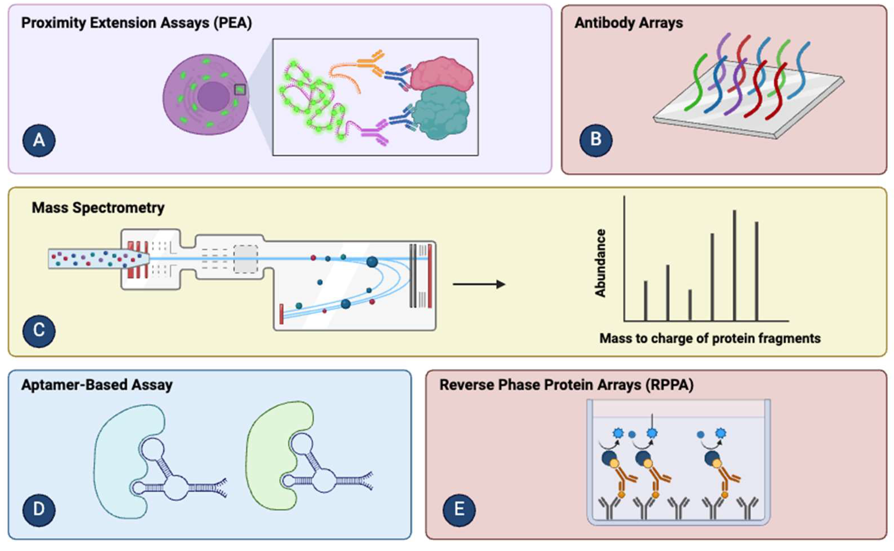 Biomarker Identification Through Proteomics In Colorectal Cancer