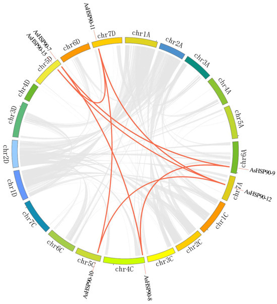 IJMS | Free Full-Text | Genome-Wide Analysis of the Oat (Avena sativa ...