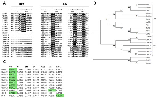 Differential Expression of Stress Adaptation Genes in a Diatom Ulnaria acus under Different ...
