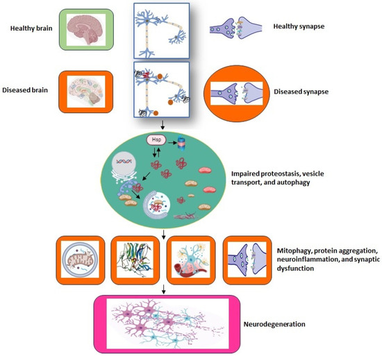 Unraveling the Genetic Landscape of Neurological Disorders: Insights ...