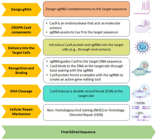 Unraveling the Genetic Landscape of Neurological Disorders: Insights ...