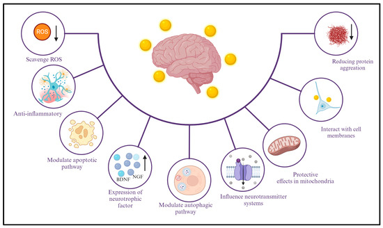 Gold Nanoparticles in Neurological Diseases: A Review of Neuroprotection