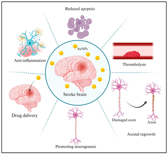 Gold Nanoparticles in Neurological Diseases: A Review of Neuroprotection