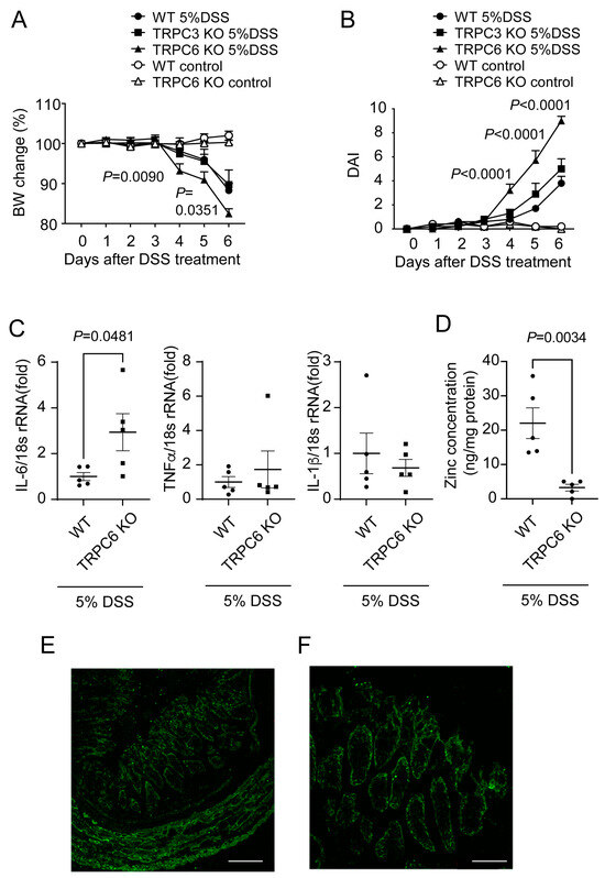 Pharmacological Activation of TRPC6 Channel Prevents Colitis Progression