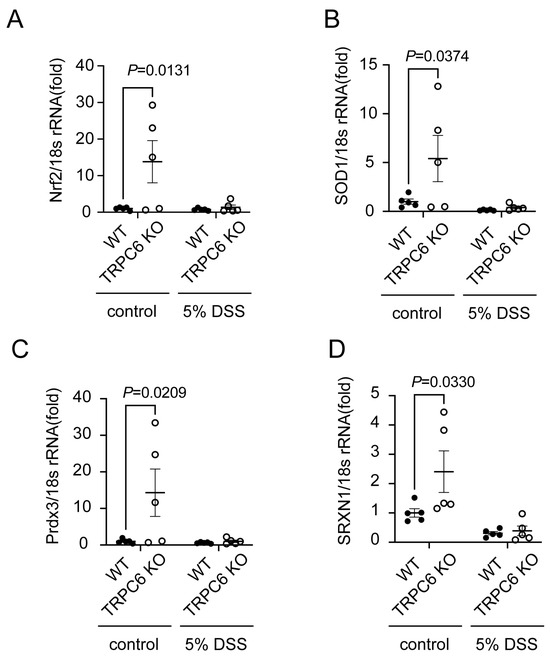 Pharmacological Activation of TRPC6 Channel Prevents Colitis Progression