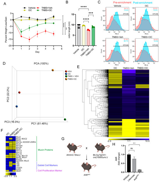 IJMS | Free Full-Text | Aryl Hydrocarbon Receptor Regulates Muc2 ...