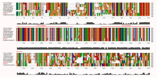 IJMS | Free Full-Text | Molecular Mechanism of Different Rooting ...