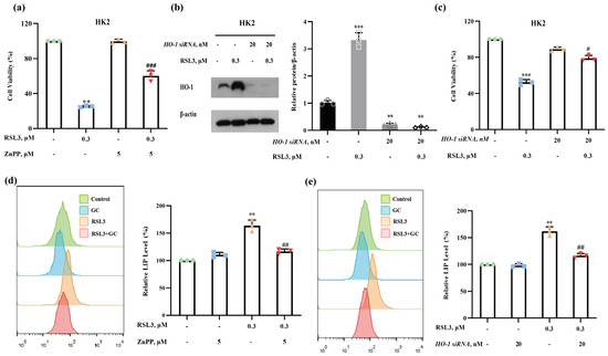 Glycyrol Alleviates Acute Kidney Injury by Inhibiting Ferroptsis