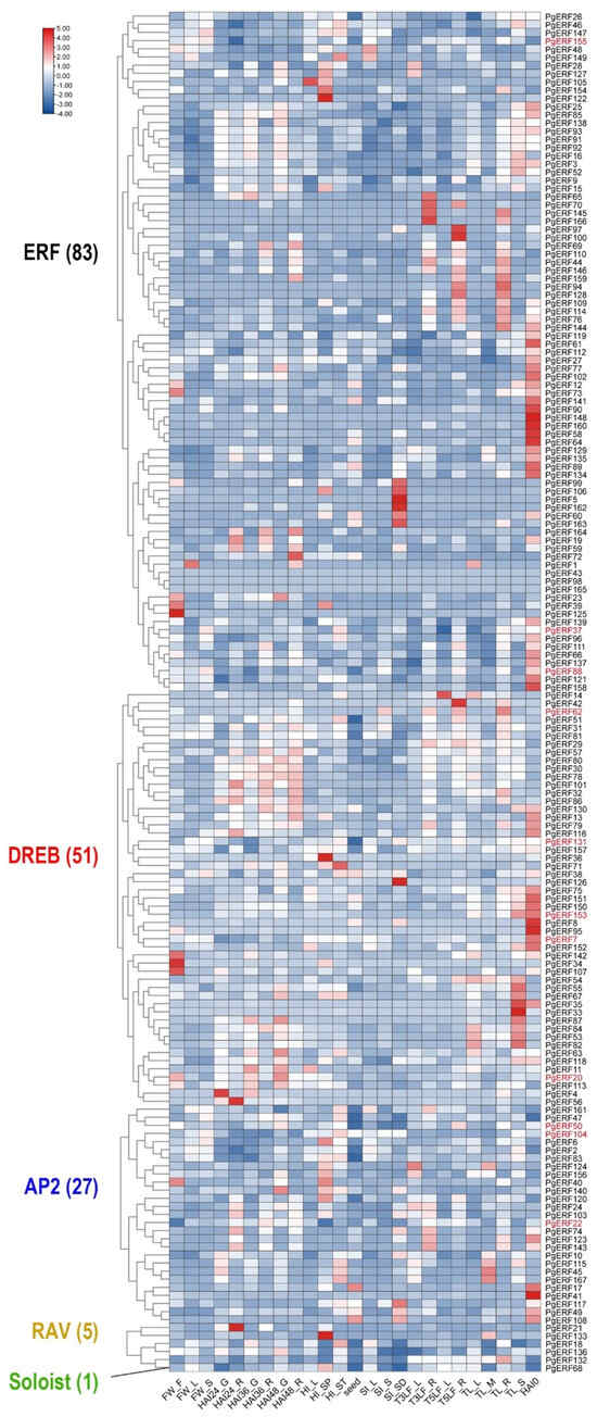 IJMS | Free Full-Text | Genome-Wide Identification and Transcriptional ...