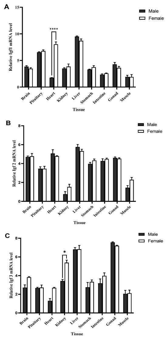 Identification of Insulin-like Growth Factor (IGF) Family Genes in the ...