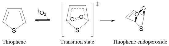Thiophene Stability in Photodynamic Therapy: A Mathematical Model Approach