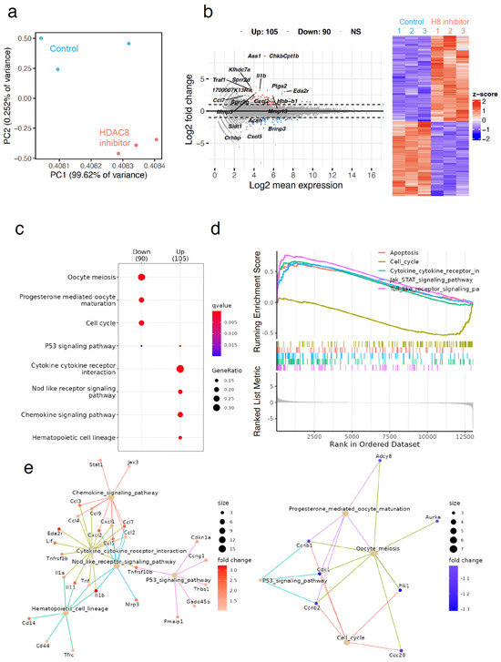 Inhibition of HDAC8 Reduces the Proliferation of Adult Neural Stem ...