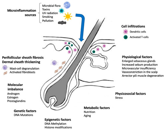 The Biology and Genomics of Human Hair Follicles: A Focus on ...