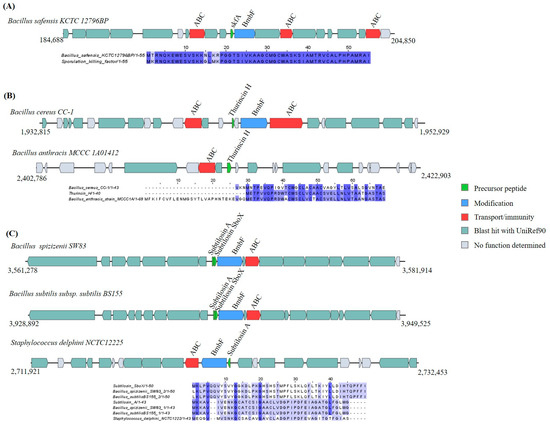 In Silico Screening of Bacteriocin Gene Clusters within a Set of Marine ...