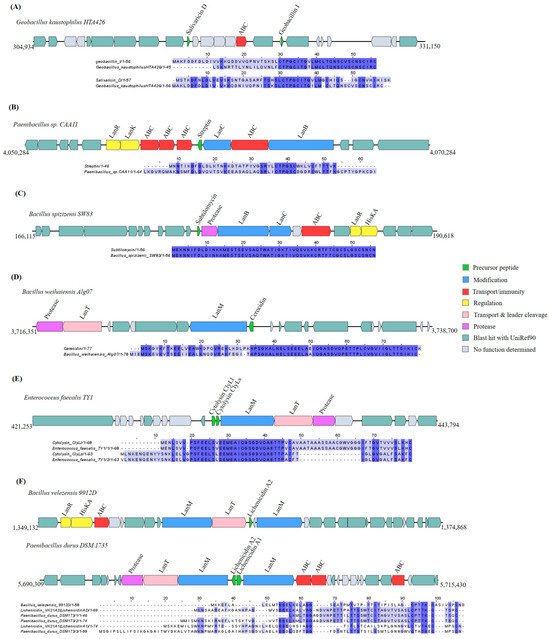 In Silico Screening of Bacteriocin Gene Clusters within a Set of Marine ...