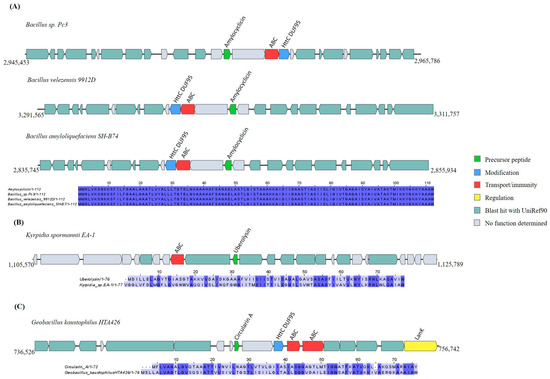 In Silico Screening of Bacteriocin Gene Clusters within a Set of Marine ...