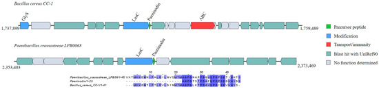 In Silico Screening of Bacteriocin Gene Clusters within a Set of Marine ...