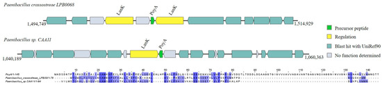 In Silico Screening of Bacteriocin Gene Clusters within a Set of Marine ...