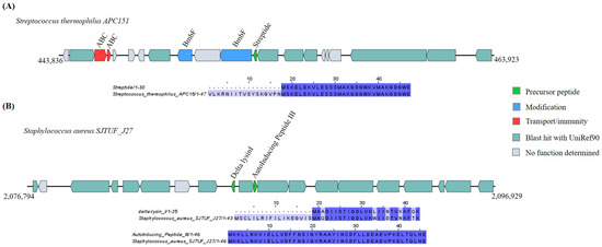 In Silico Screening of Bacteriocin Gene Clusters within a Set of Marine ...