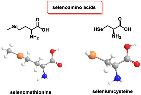 Ijms Free Full Text Antioxidant Metabolism Pathways In Vitamins Polyphenols And Selenium