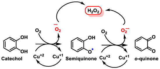 Antioxidant Metabolism Pathways in Vitamins, Polyphenols, and Selenium ...