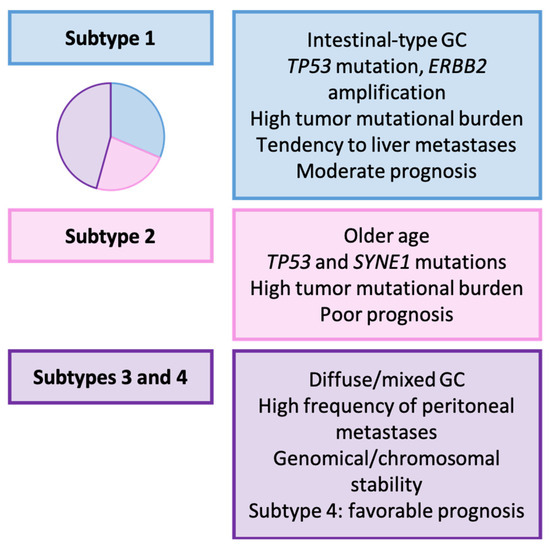 IJMS | Free Full-Text | Molecular Classifications in Gastric Cancer: A ...