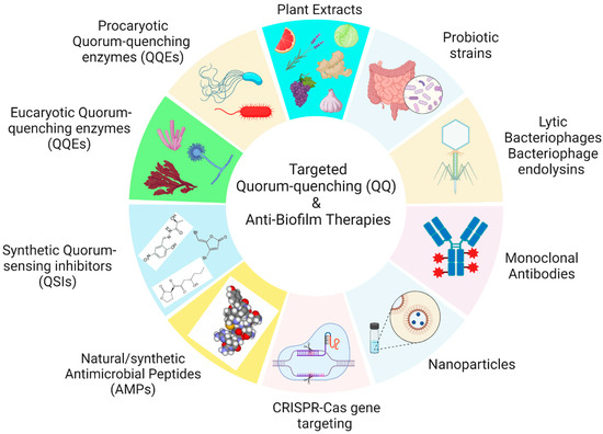 Molecular Aspects of the Functioning of Pathogenic Bacteria Biofilm Based on Quorum Sensing (QS ...