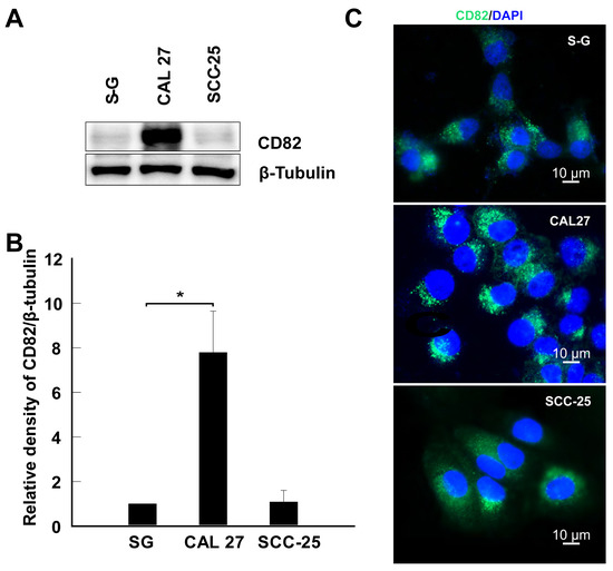 Tetraspanin CD82 Correlates with and May Regulate S100A7 Expression in ...