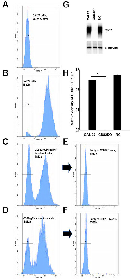 Tetraspanin CD82 Correlates with and May Regulate S100A7 Expression in ...