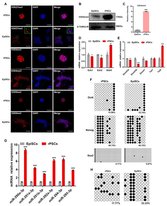 MiR-290 Family Maintains Pluripotency and Self-Renewal by Regulating ...