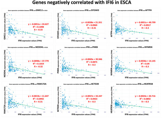 Multi-Omics Analysis Reveals the IFI6 Gene as a Prognostic Indicator ...