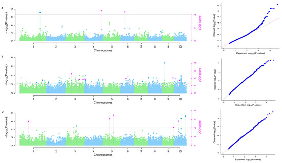 Joint-GWAS, Linkage Mapping, and Transcriptome Analysis to Reveal the ...
