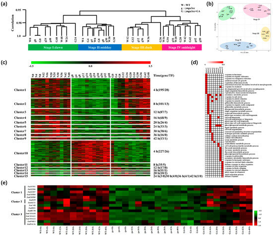 IJMS | Free Full-Text | Integrated Metabolome and Transcriptome Analysis of Gibberellins ...