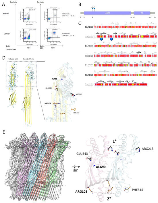 Late Onset of Primary Hemophagocytic Lymphohistiocytosis (HLH) with a ...