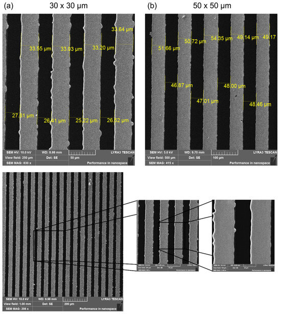 IJMS | Free Full-Text | Plasma-Activated Polydimethylsiloxane ...