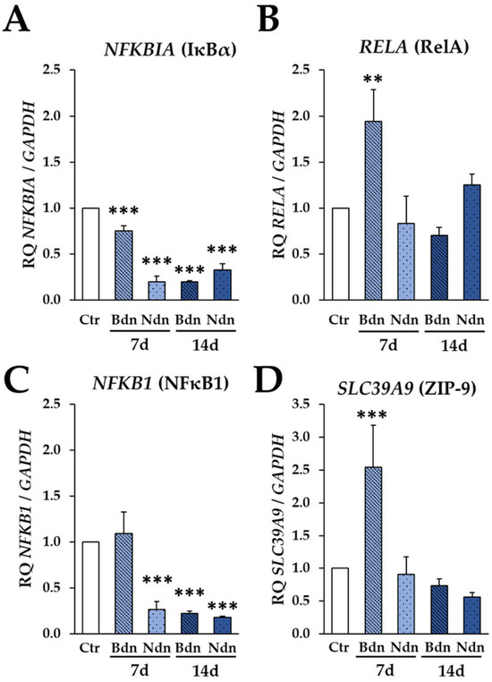 IJMS | Free Full-Text | Anabolic Steroids Activate the NF-κB Pathway in ...