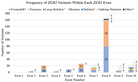 Mowat–Wilson Syndrome: Case Report and Review of ZEB2 Gene Variant ...