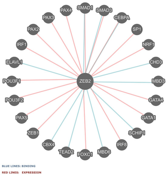 Mowat–Wilson Syndrome: Case Report and Review of ZEB2 Gene Variant ...