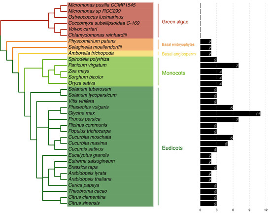 IJMS | Free Full-Text | Evolutionary and Structural Analysis of PP16 in ...