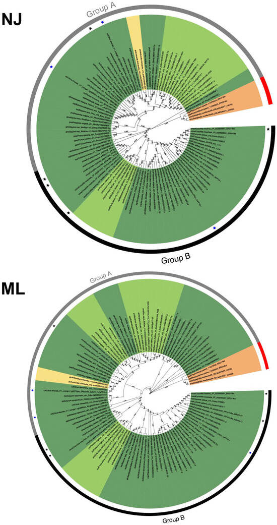 IJMS | Free Full-Text | Evolutionary and Structural Analysis of PP16 in ...