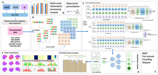 IJMS | Free Full-Text | Interpretable Multi-Scale Deep Learning for RNA ... IJMS | Free Full-Text | Interpretable Multi-Scale Deep Learning for RNA ...