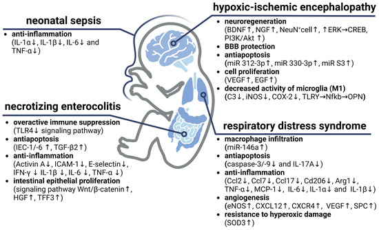 IJMS | Free Full-Text | A Review of the Use of Extracellular Vesicles ...