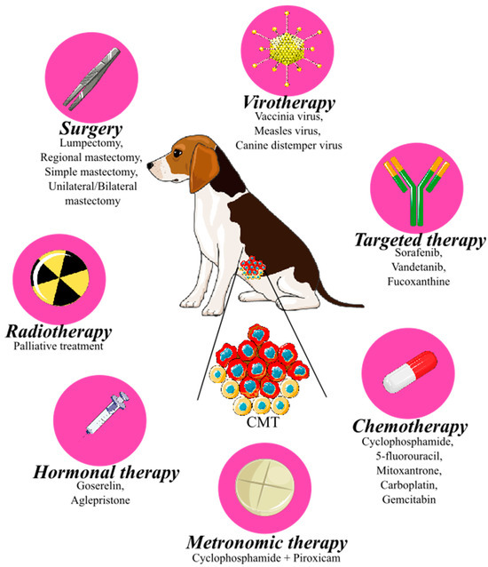 Canine Mammary Tumors: Classification, Biomarkers, Traditional and ...