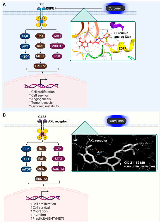 IJMS | Free Full-Text | Curcumin in Cancer and Inflammation: An In ...