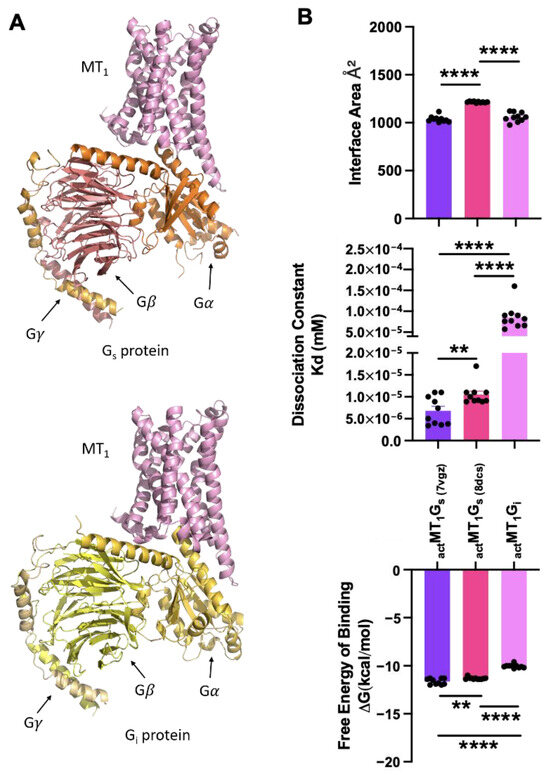Real-Time Determination of Intracellular cAMP Reveals Functional ...