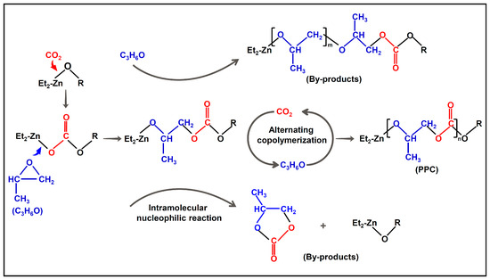 Poly(Propylene Carbonate)-Based Biodegradable and Environment-Friendly ...
