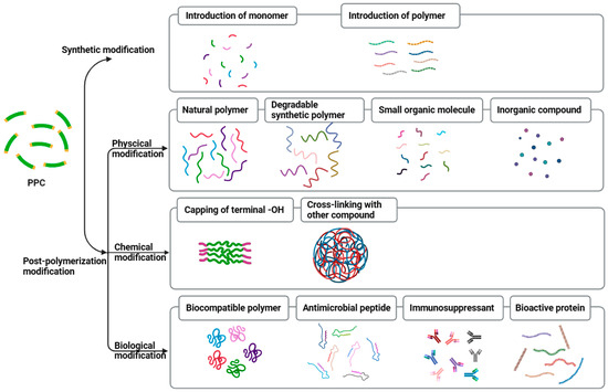 Poly(Propylene Carbonate)-Based Biodegradable and Environment-Friendly ...