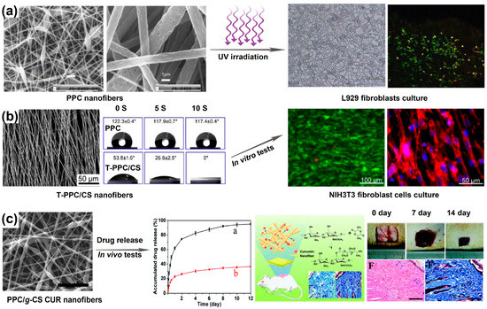 Poly(Propylene Carbonate)-Based Biodegradable and Environment-Friendly ...